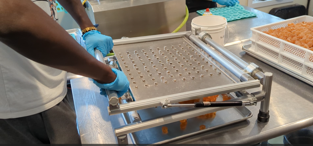 Manual Demolder - Dupre Solutions